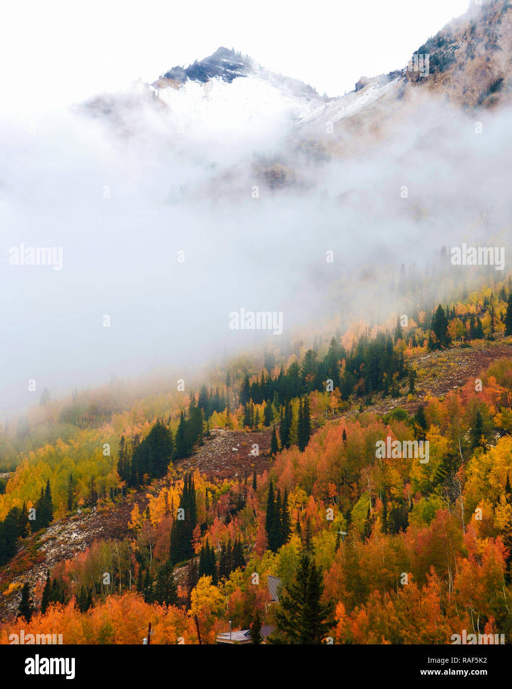 Diverse vistas hi-res stock photography and images - Alamy
