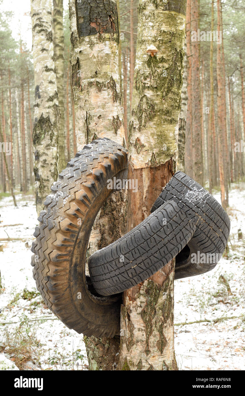 Old tyre hanging from tree hi-res stock photography and images - Alamy