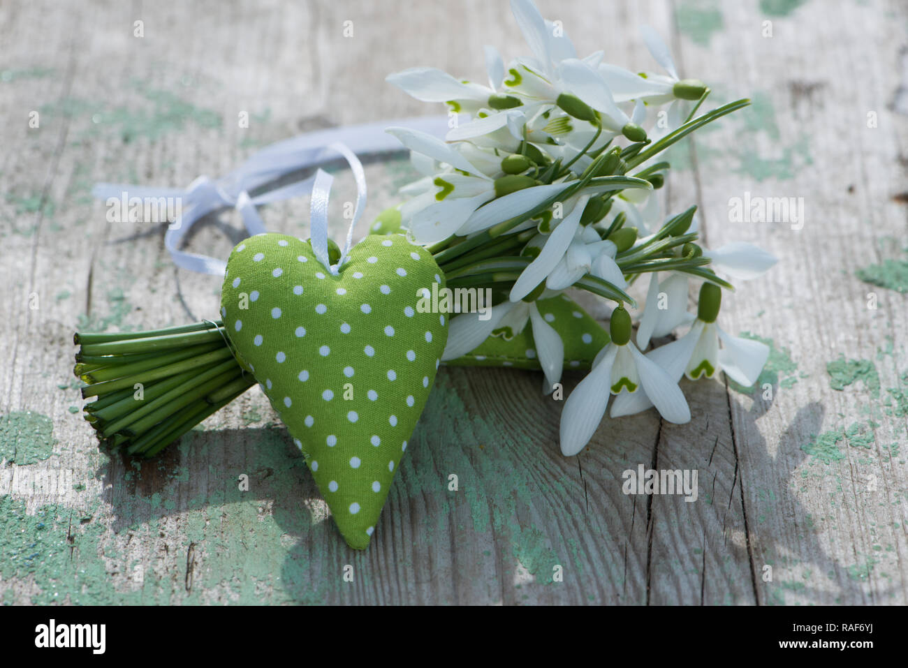 Snowdrops with hearts Stock Photo - Alamy
