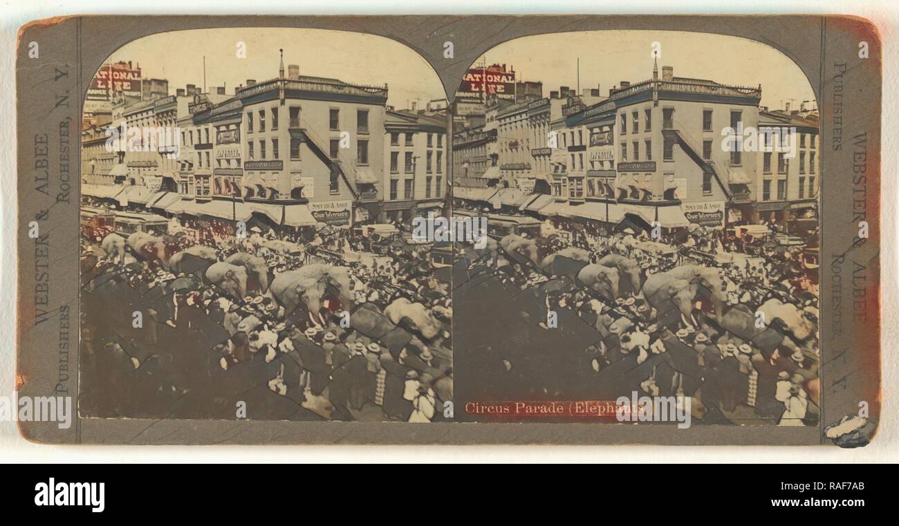 Circus Parade (Elephants.), Webster & Albee, 1890s, Gelatin silver ...