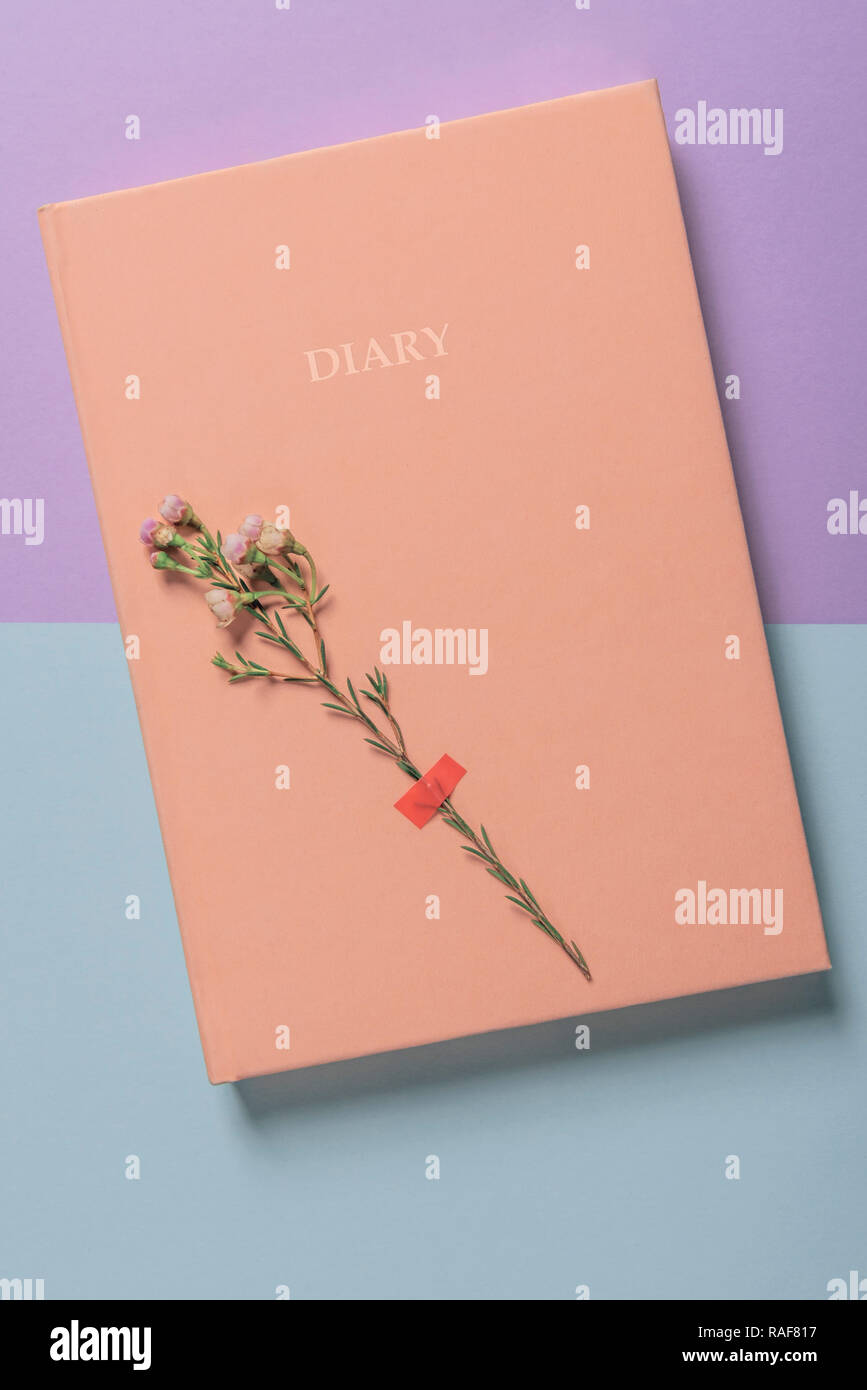 Diary and spring white flower glued on its cover. Flat lay image with a ...