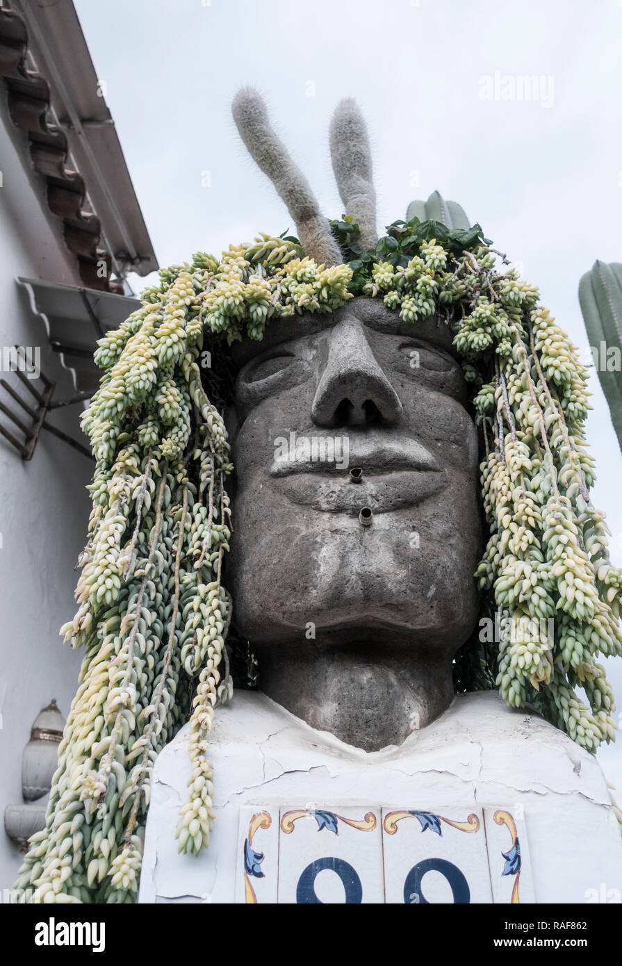 Unusual plant container with plant growing as dreadlocks Stock Photo ...