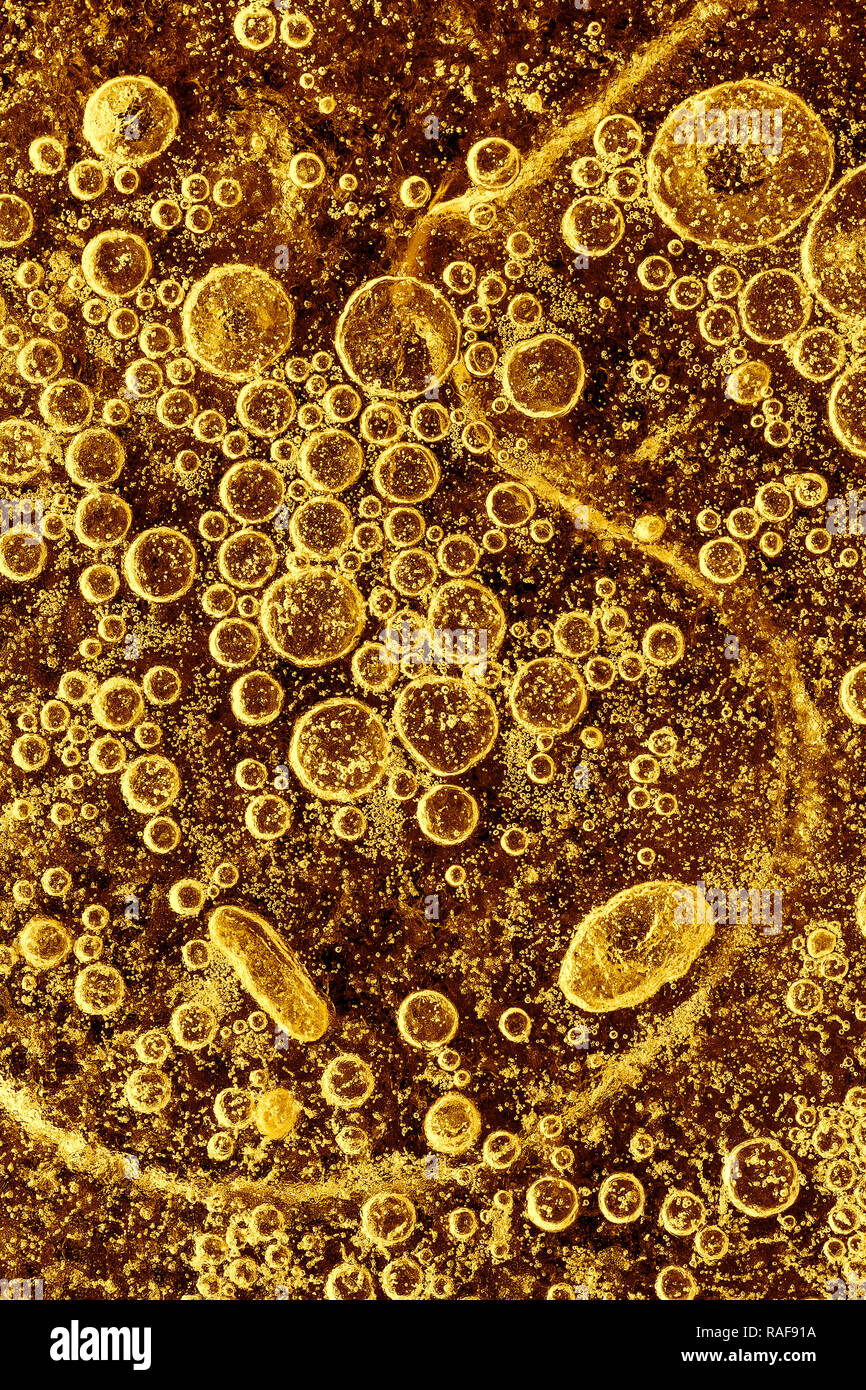 Bubbles trapped in the ice. gold Stock Photo - Alamy