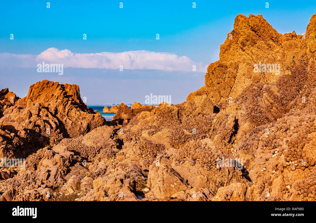 Wild rocky beach in Brittany on Armor Coastline Stock Photo - Alamy