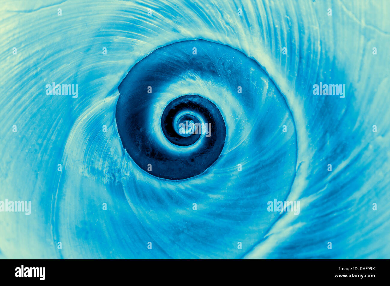 Spiral snail shell macro background hi-res stock photography and images ...