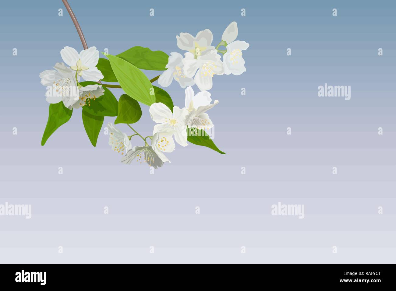 Springtime scene in japan Stock Vector Images - Alamy