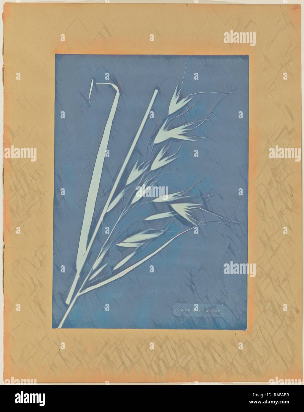 Anne atkins hi-res stock photography and images - Alamy