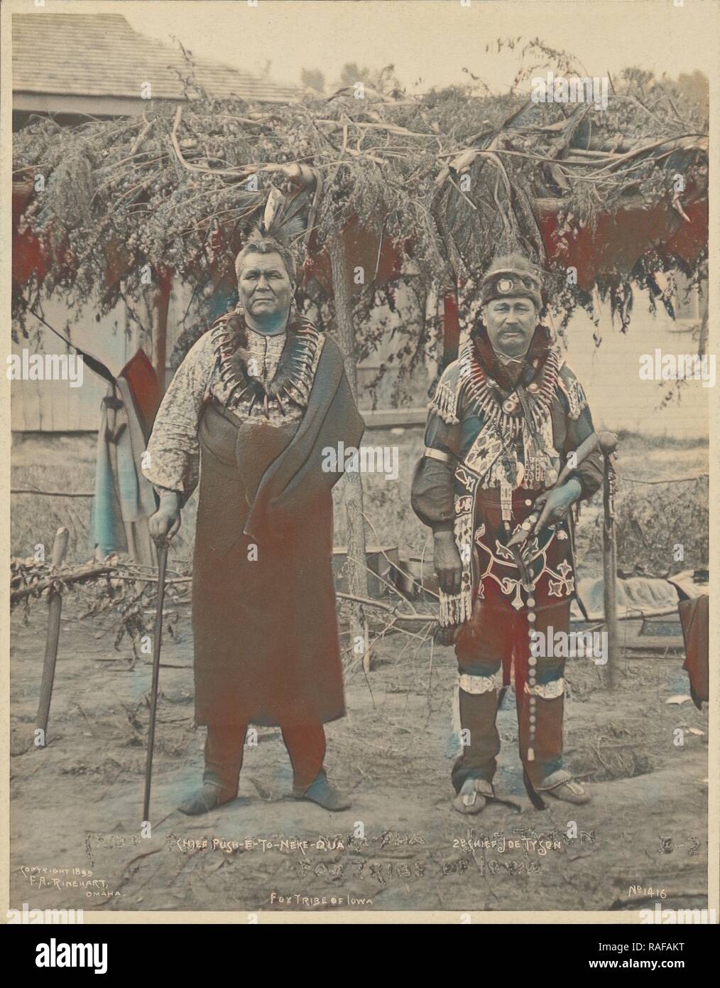 Fox tribe hi-res stock photography and images - Alamy