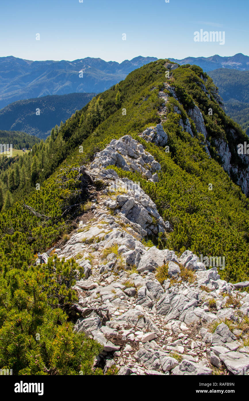mountain trail at the peak Stock Photo - Alamy