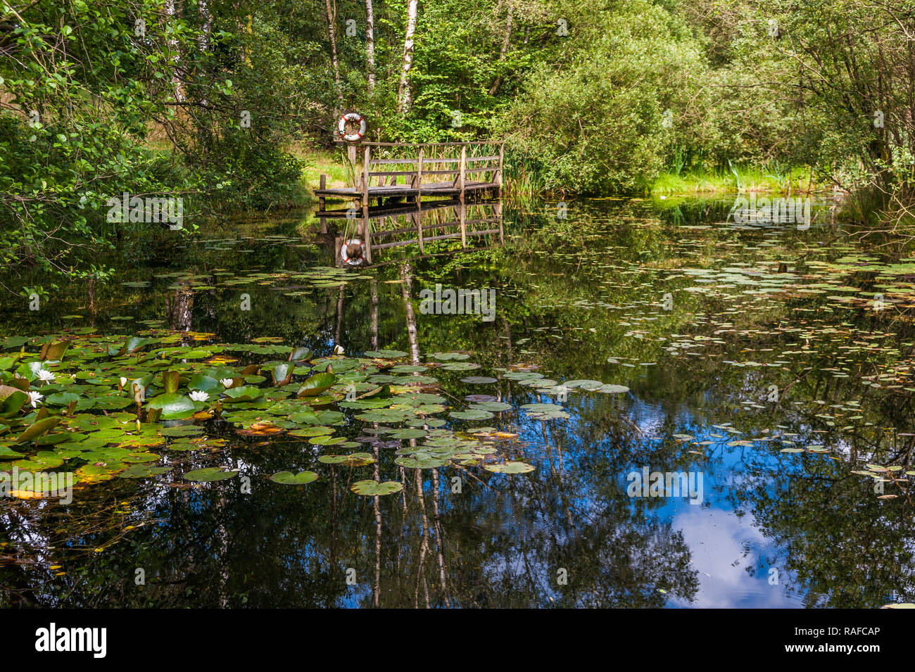 Lakeland bridge hi-res stock photography and images - Alamy