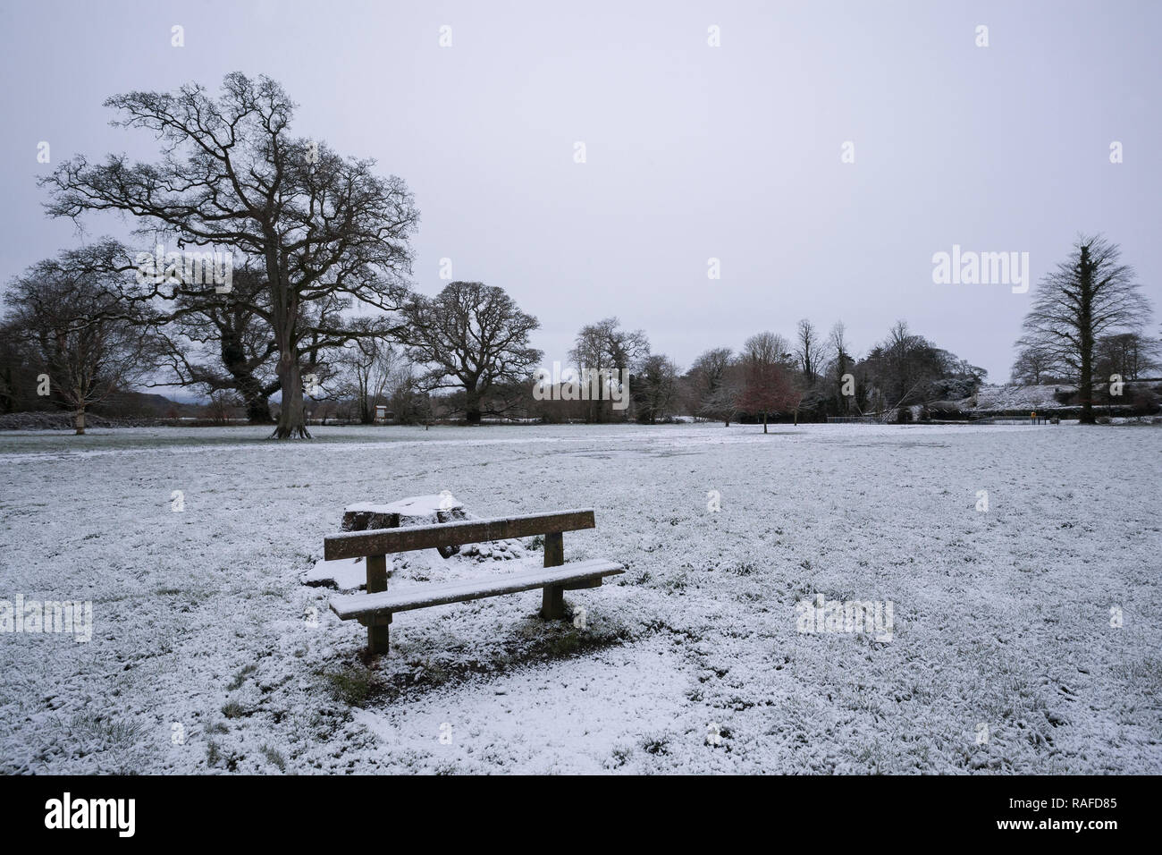 Snowy winter scene with snow covered bench at Inch Field, Cahir ...