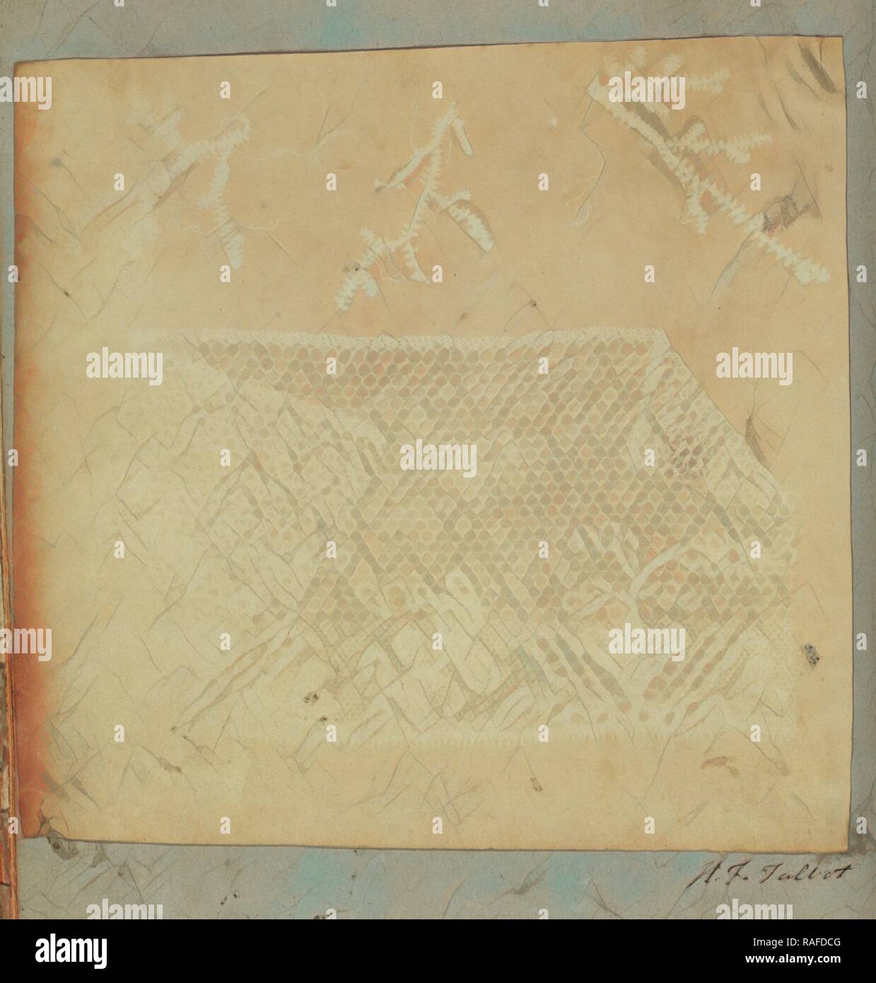 A Fragment of Lace with Three Sprigs of Moss, William Henry Fox Talbot ...