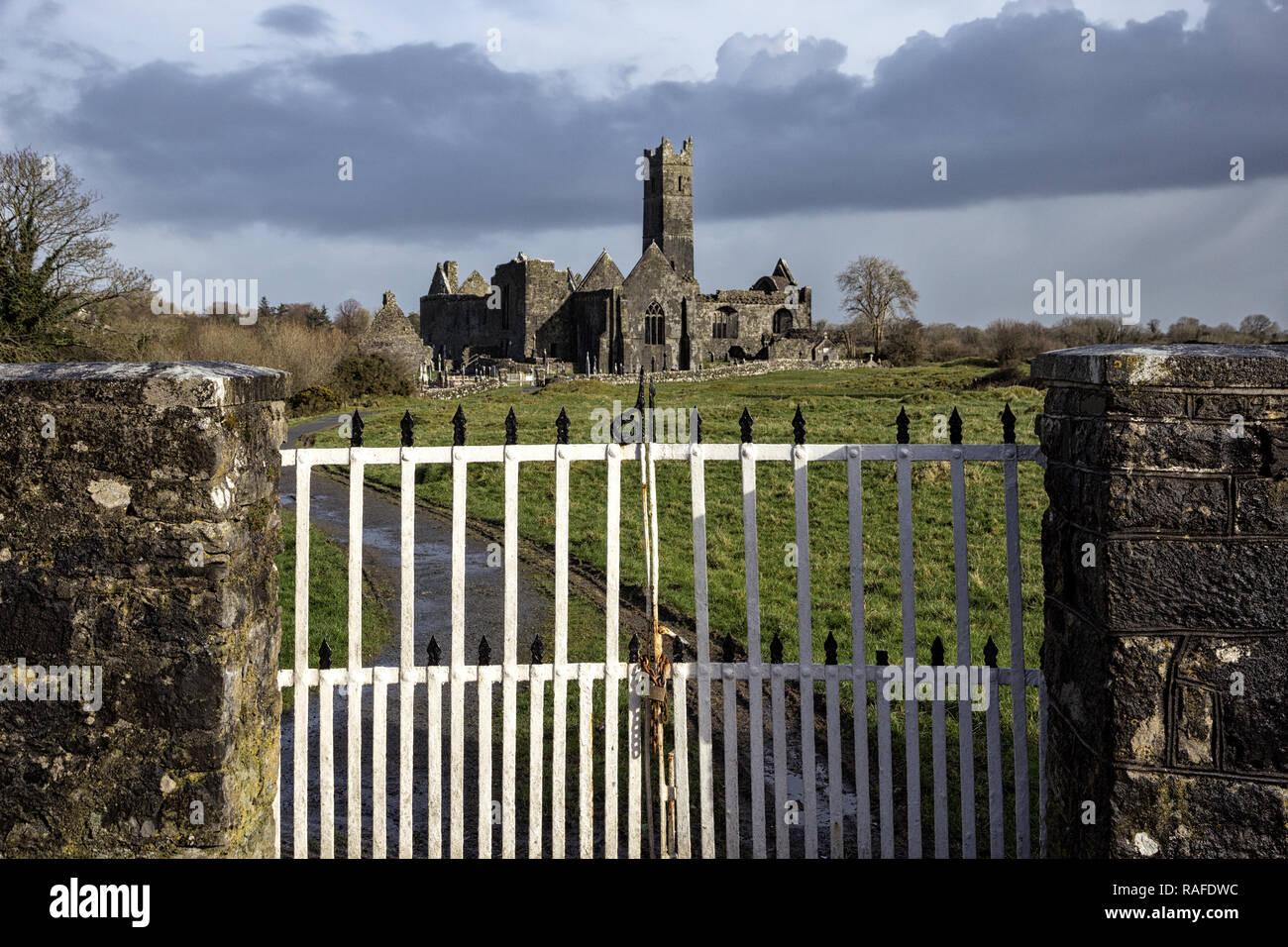 Gate in front of the Quin Abbey ruins, County Clare, Ireland Stock ...