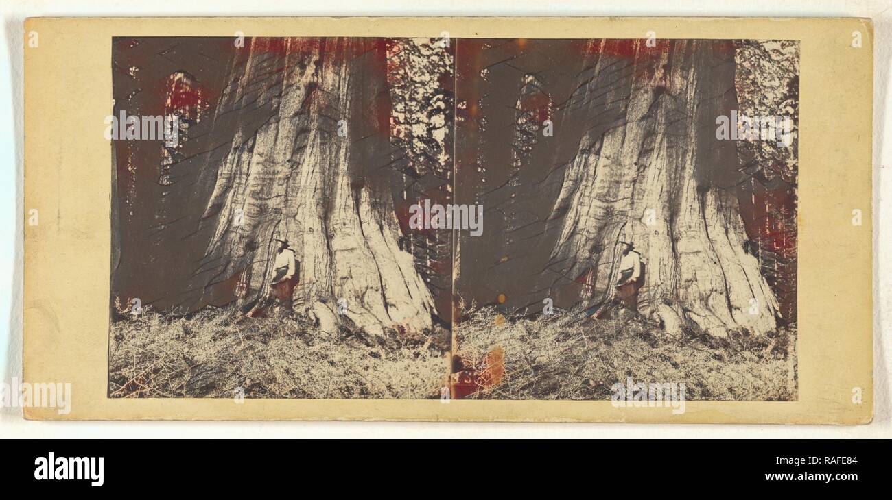 94 feet circumference hi-res stock photography and images - Alamy