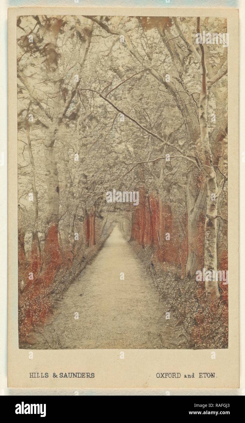 Addison Water Walk, Magdalen. Oxford, England, Hills & Saunders ...