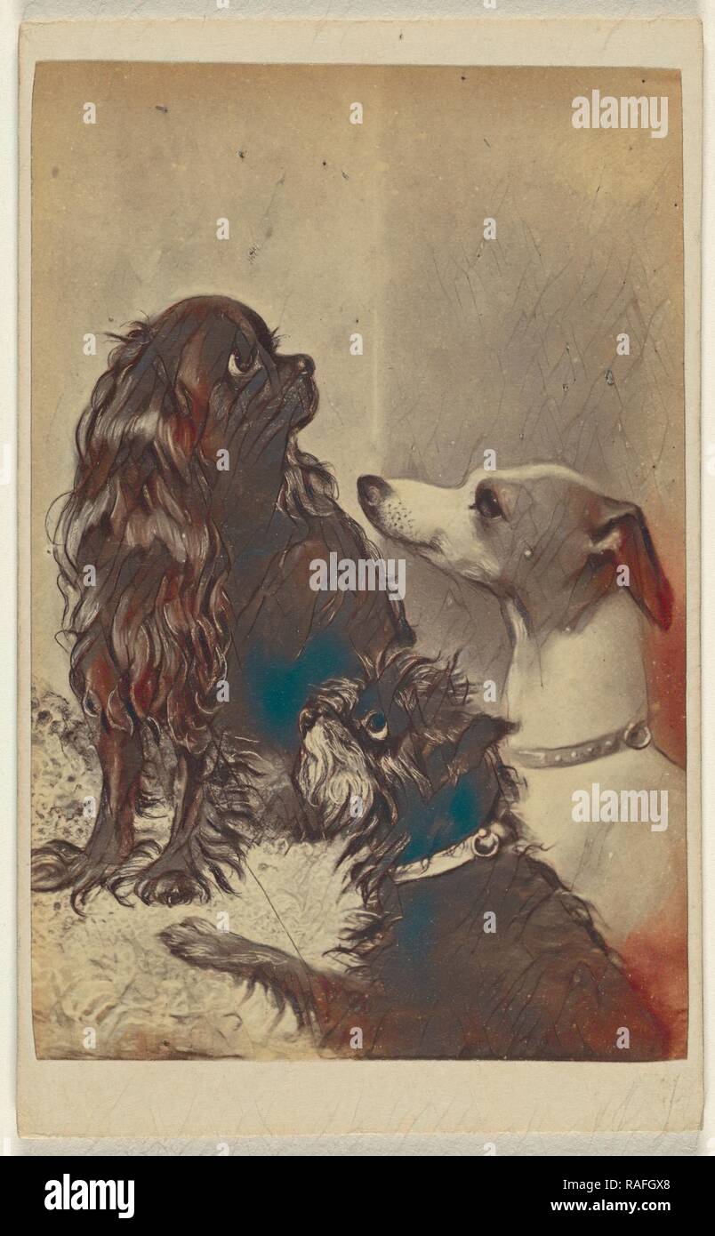 Floss, Daisy & Fairy, Dogs of Barroness sic McClifford. Painted by Mrs ...