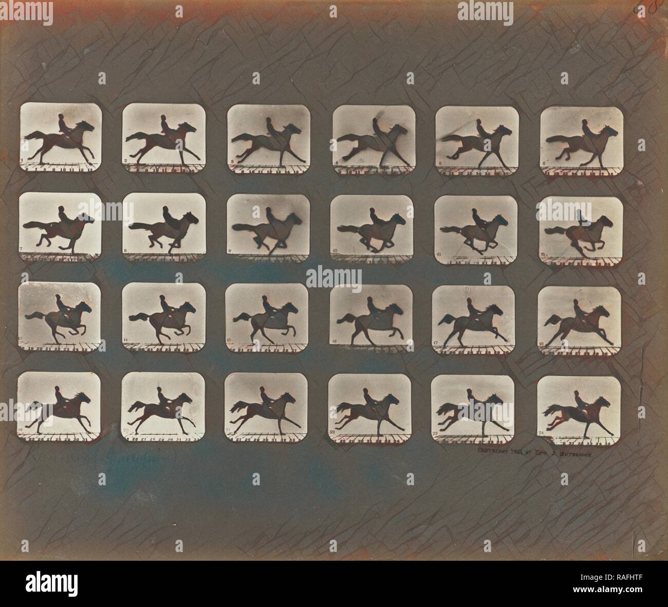 Running (Galloping), Eadweard J. Muybridge (American, born England ...