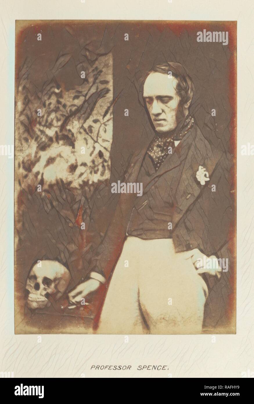Professor Spence, Hill & Adamson (Scottish, active 1843 - 1848 ...