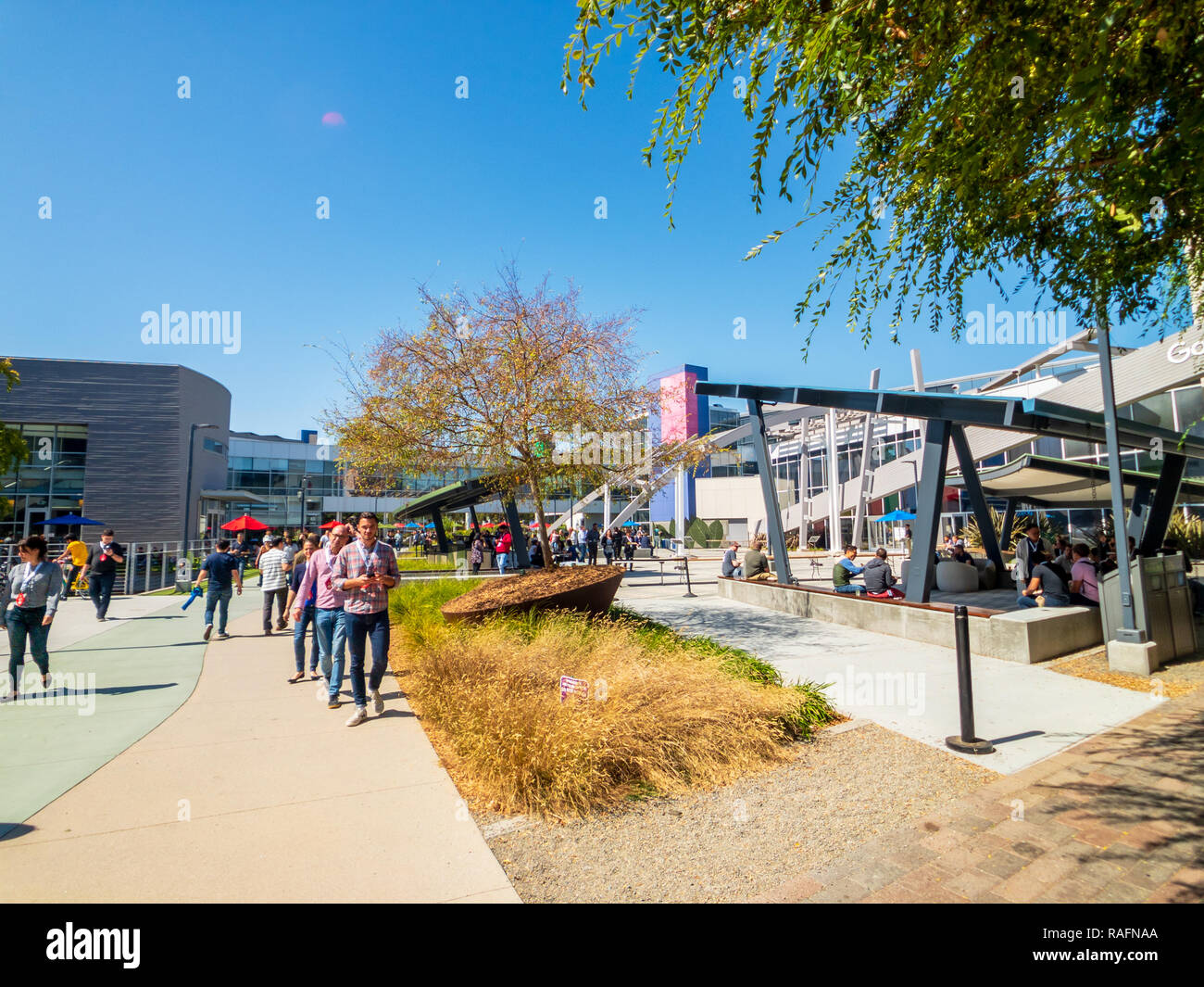 Google office employees working hi-res stock photography and images - Alamy