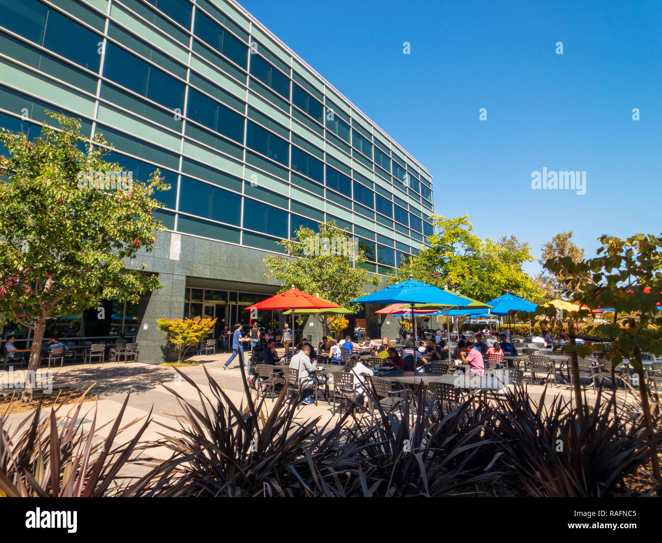 Google employees working hi-res stock photography and images - Alamy