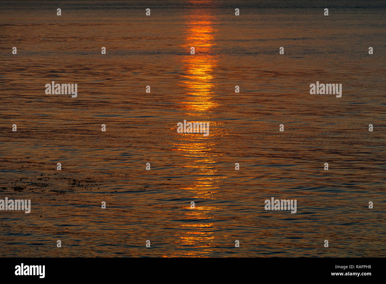 Sunlight reflection on sea hi-res stock photography and images - Alamy