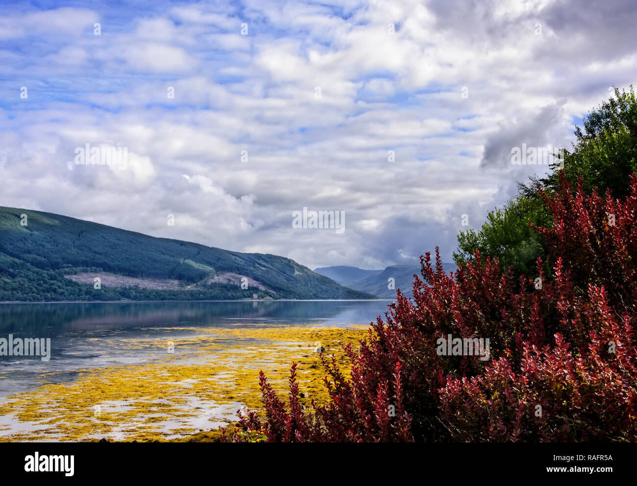 Loch fyne scotland hi-res stock photography and images - Alamy