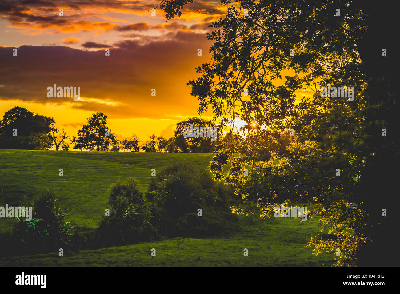 English countryside at sunset hi-res stock photography and images - Alamy