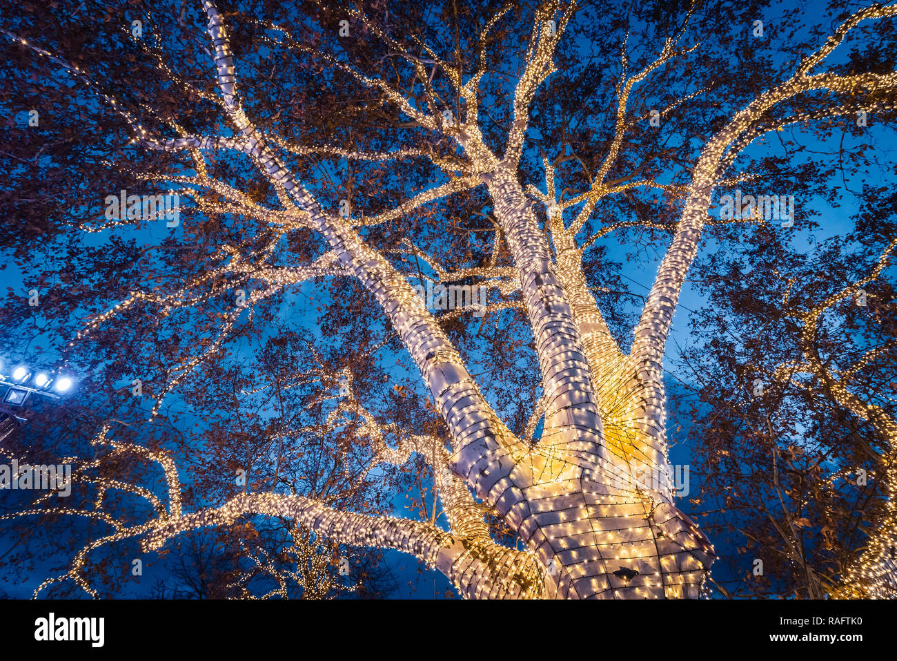 Electrical wiring in a modern building, threads of wires in a metal ...