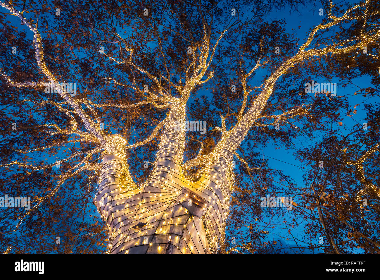 Electrical wiring in a modern building, threads of wires in a metal ...