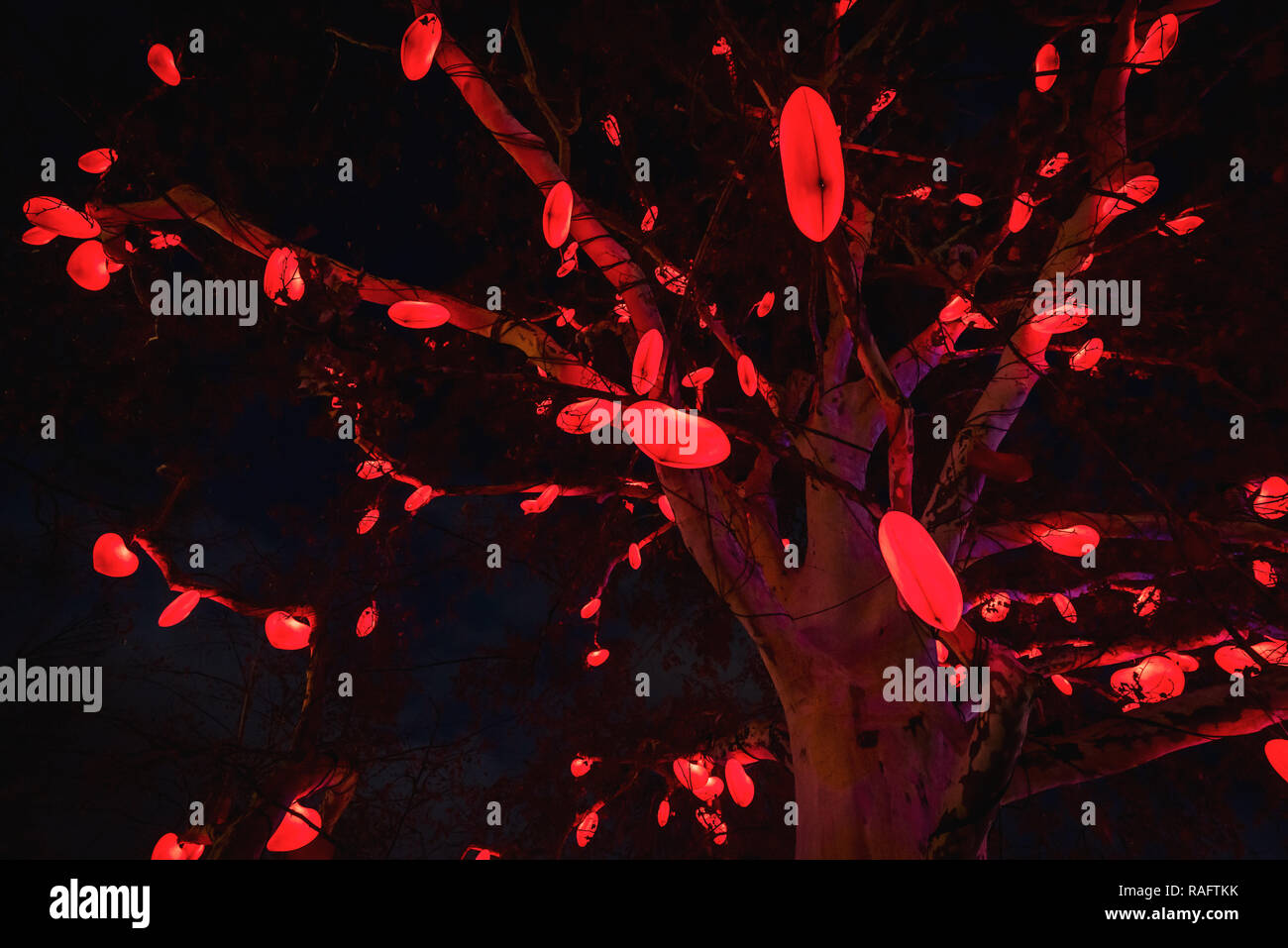 Lighted ornate tree on which hearts are hung, Rathausplatz, Vienna ...