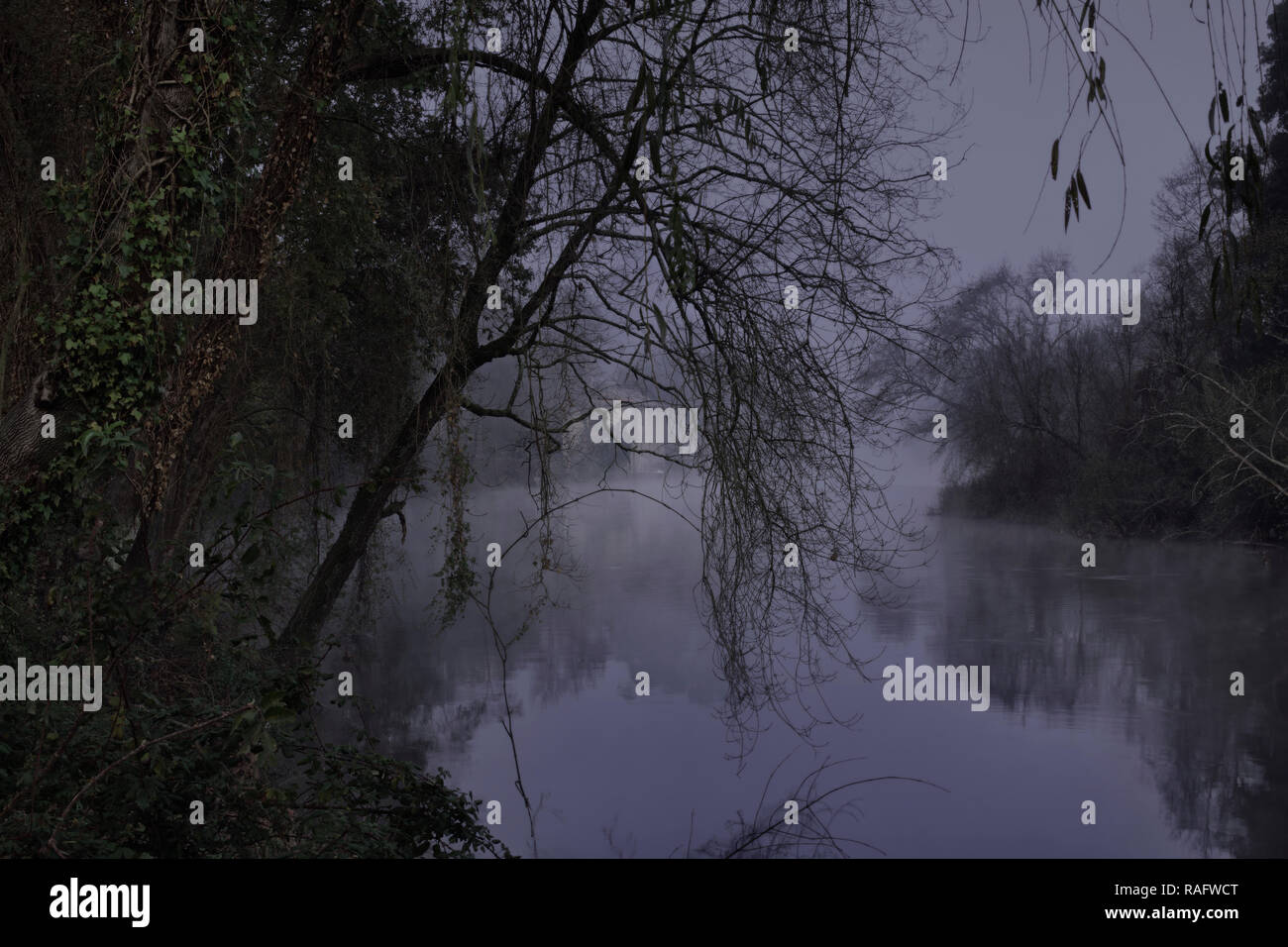 Mysterious foggy forest river at night or dusk seeing watermill Stock ...