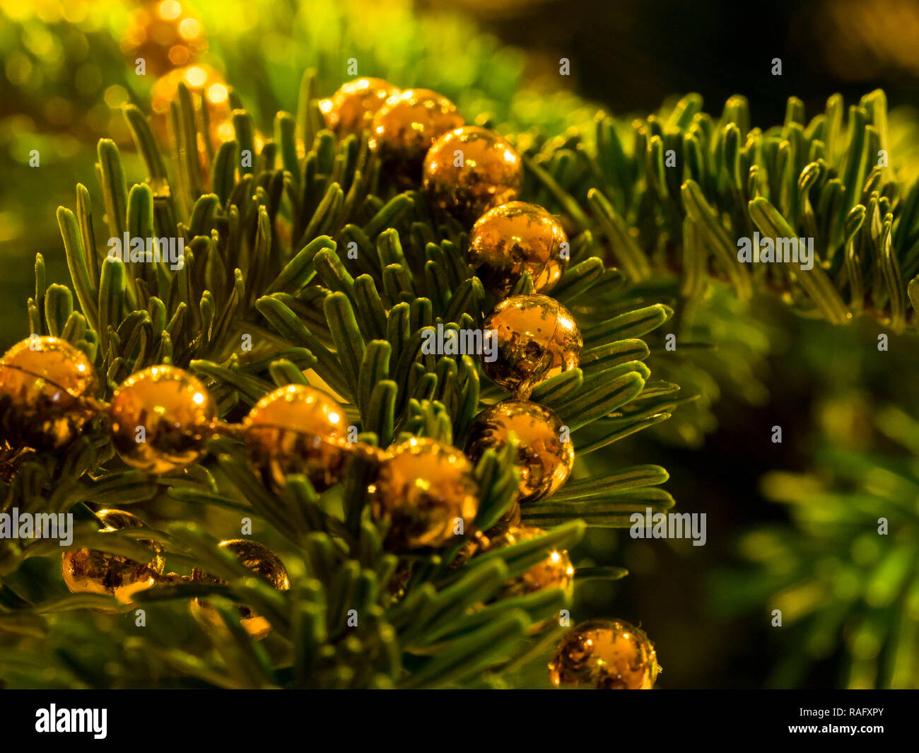 Chain of christmas illumination hi-res stock photography and images - Alamy