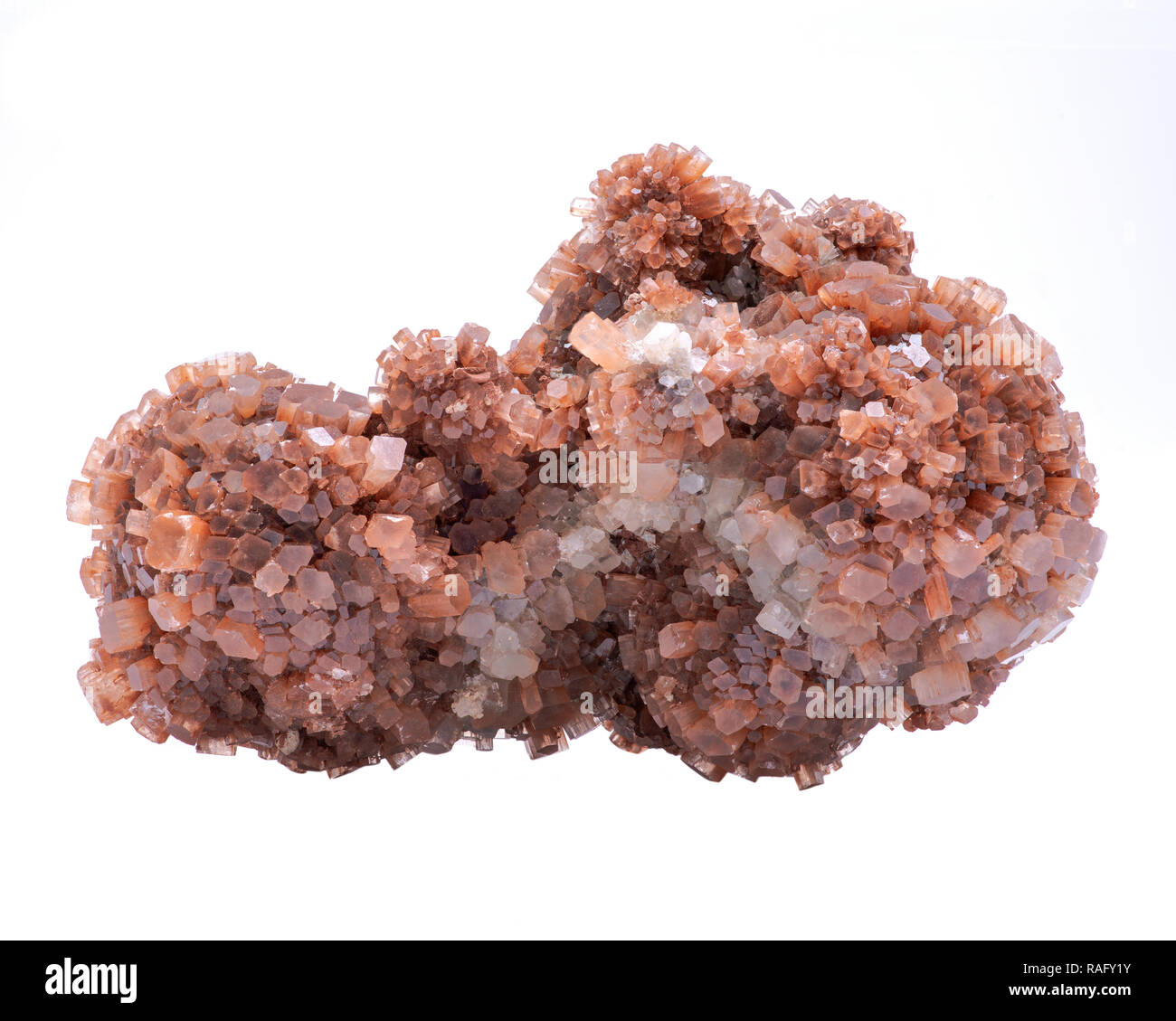 Aragonite star cluster from Morocco isolated on white background Stock ...