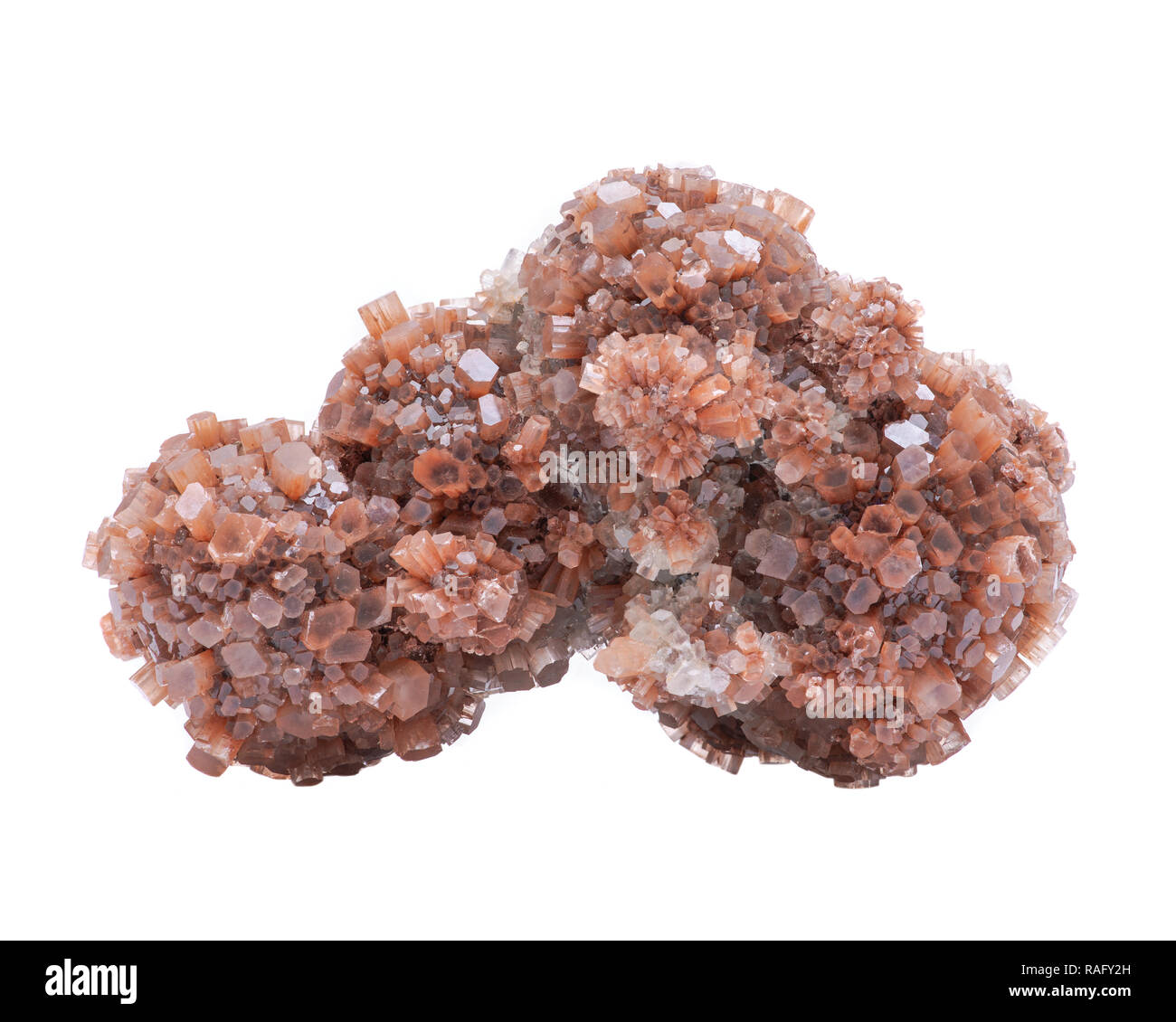 Aragonite star cluster from Morocco isolated on white background Stock ...