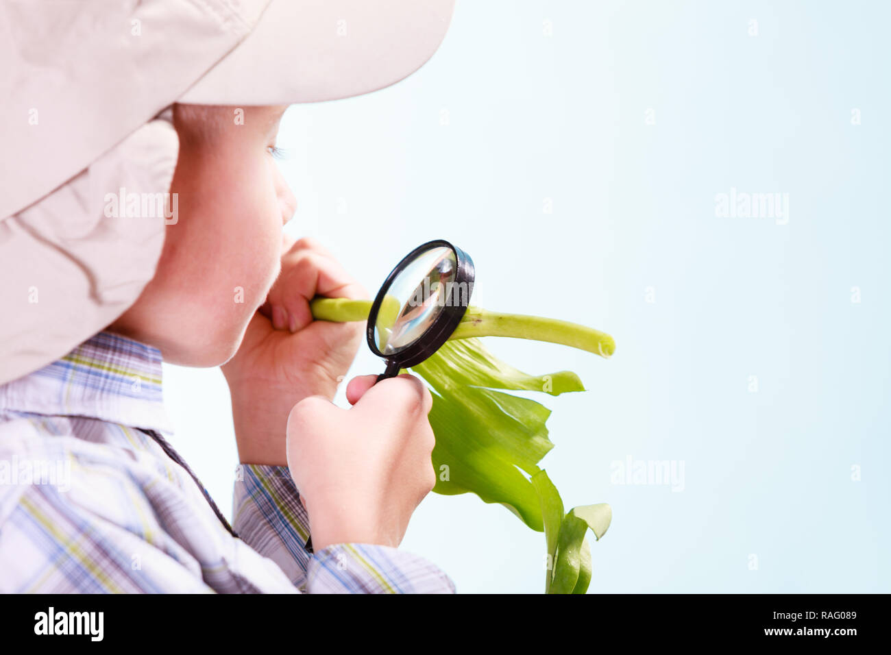 Early education nature and biology. Little boy examine flower with ...