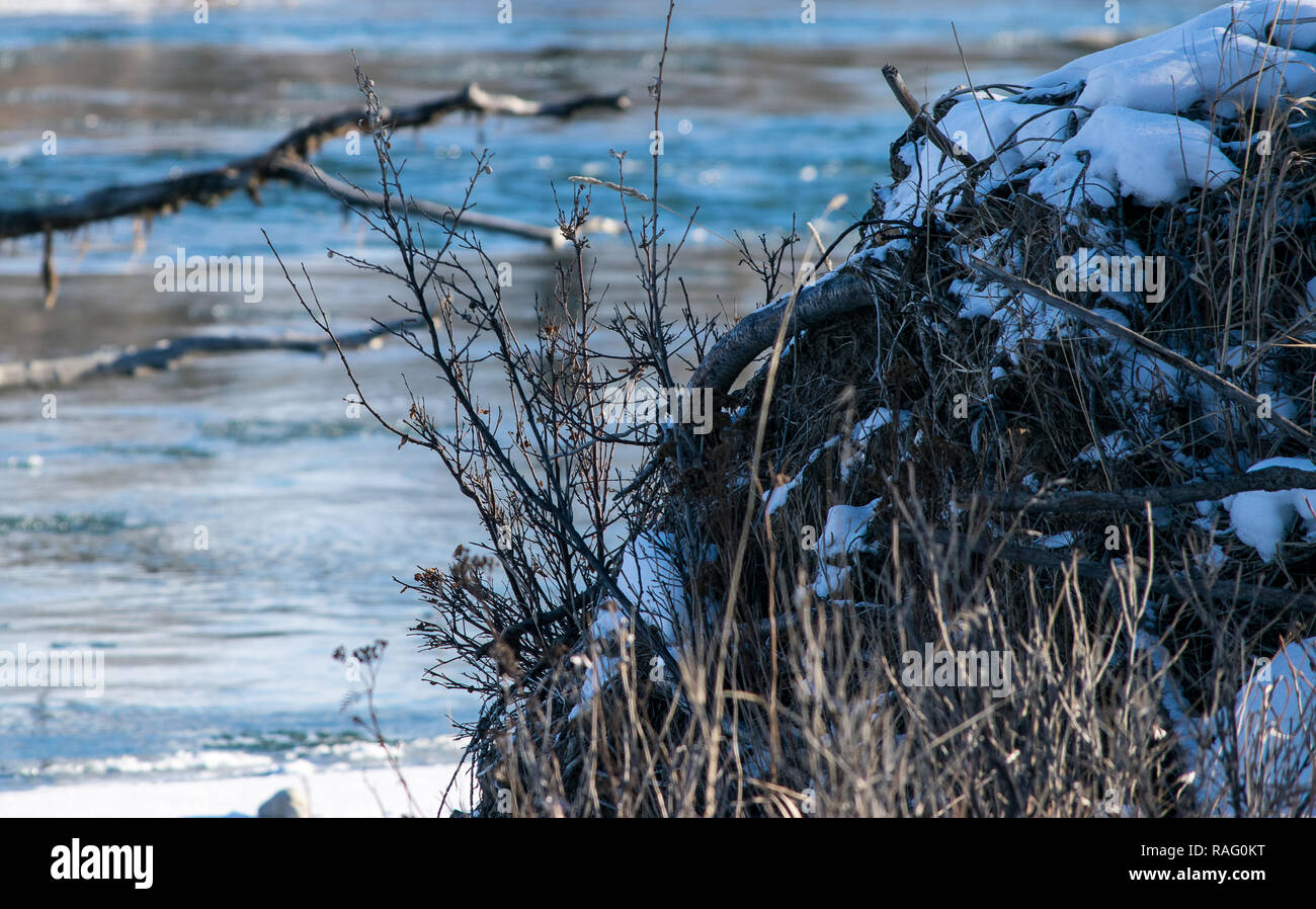 winter scenes near the Bow river in Calgary Stock Photo - Alamy