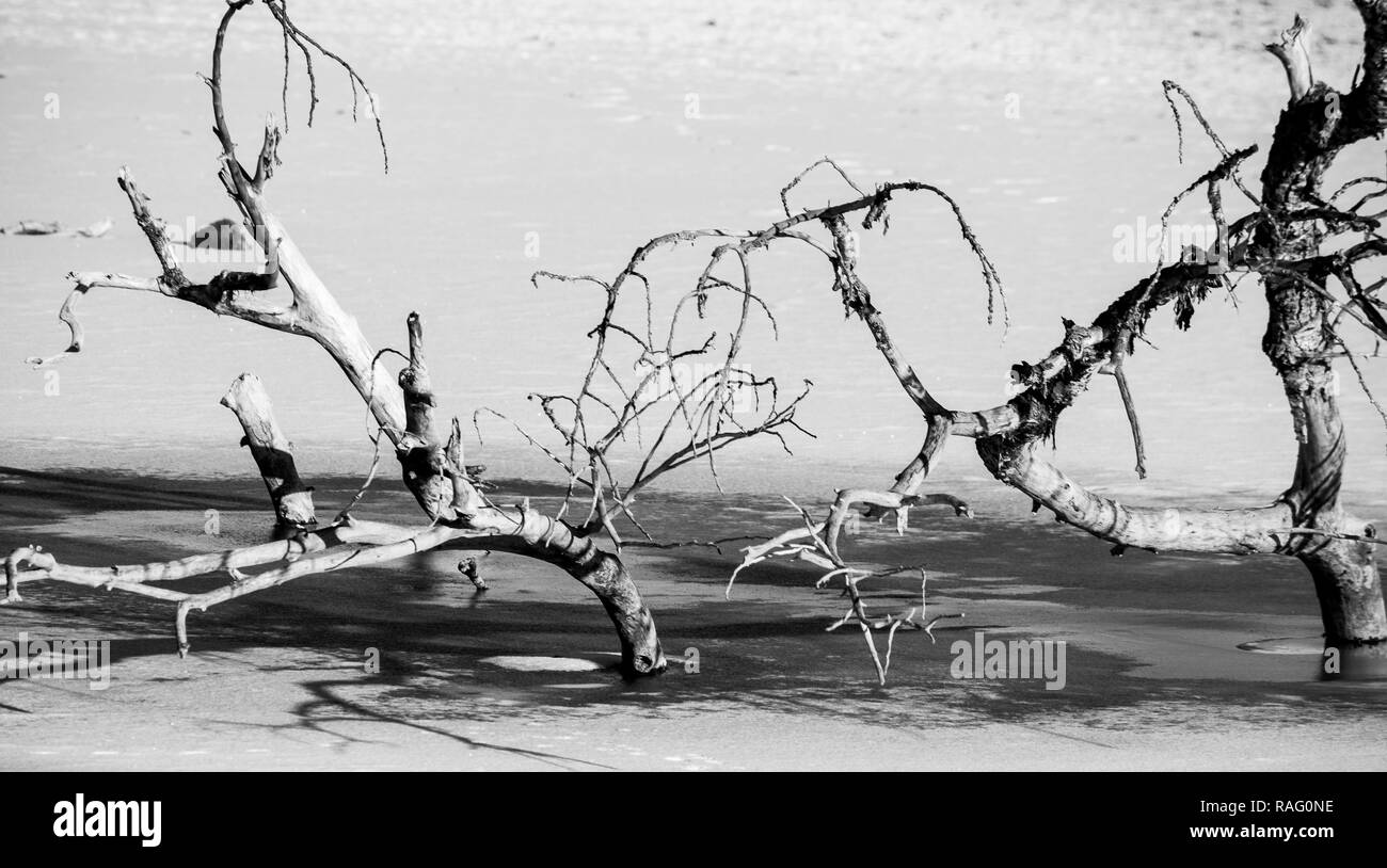 Scenes near Black and White Stock Photos & Images - Alamy