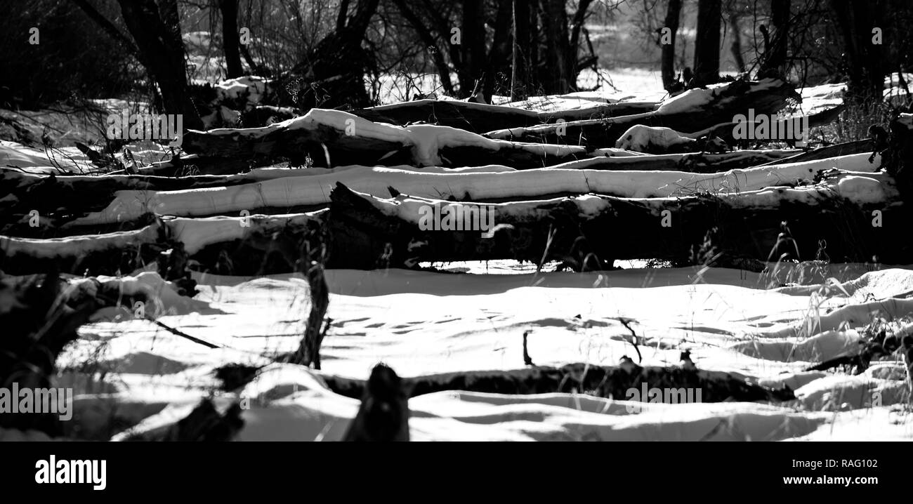 Scenes near Black and White Stock Photos & Images - Alamy