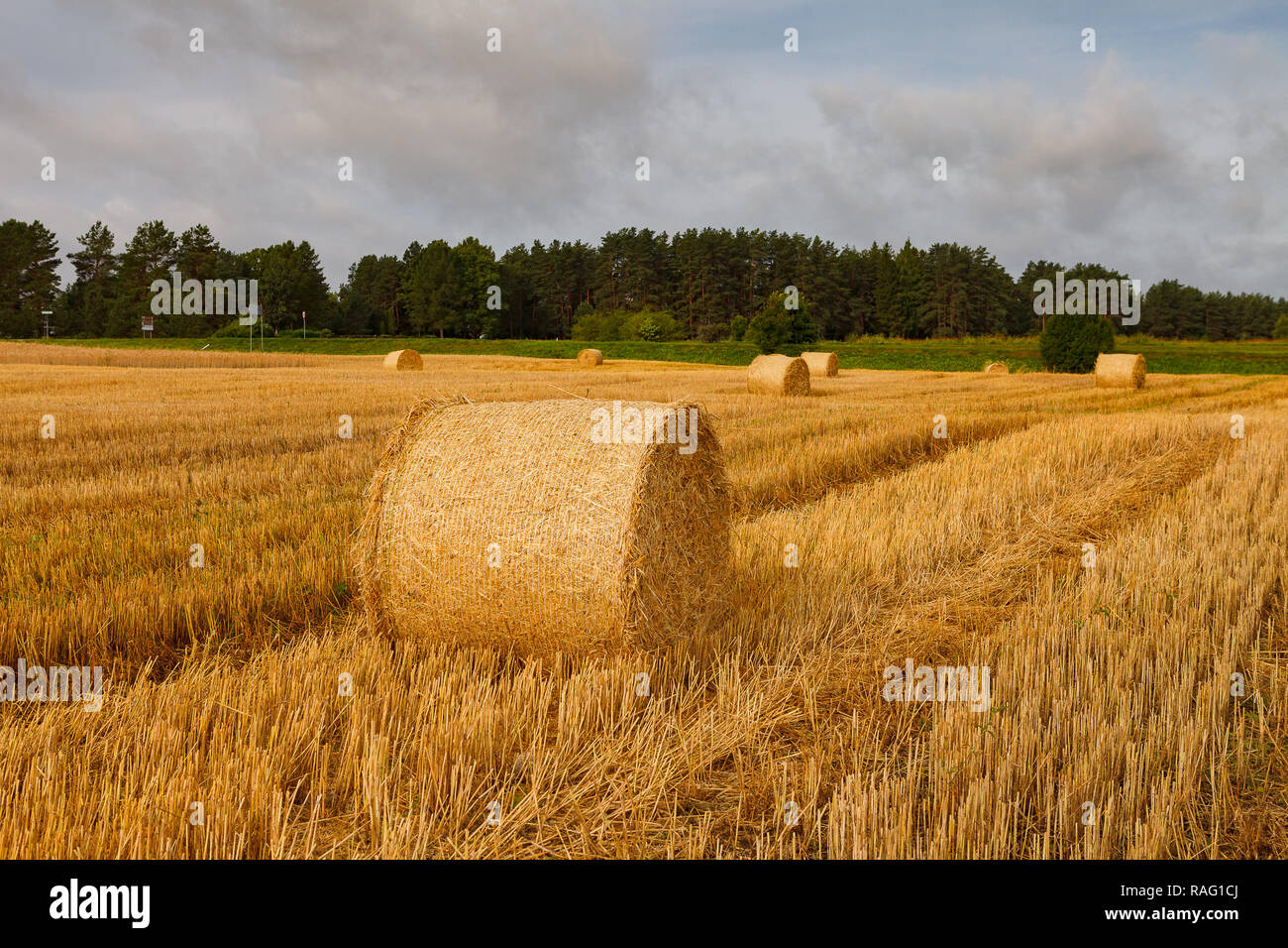 Hay in stacks village hi-res stock photography and images - Alamy