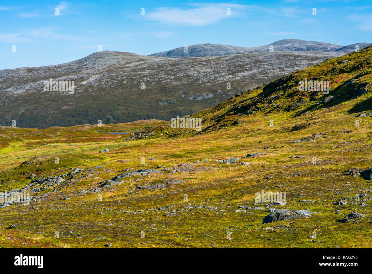 Norway tromso grass hi-res stock photography and images - Alamy