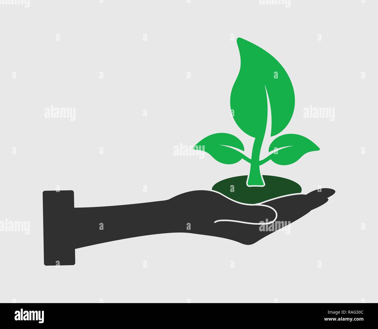 Carry palm Stock Vector Images - Alamy