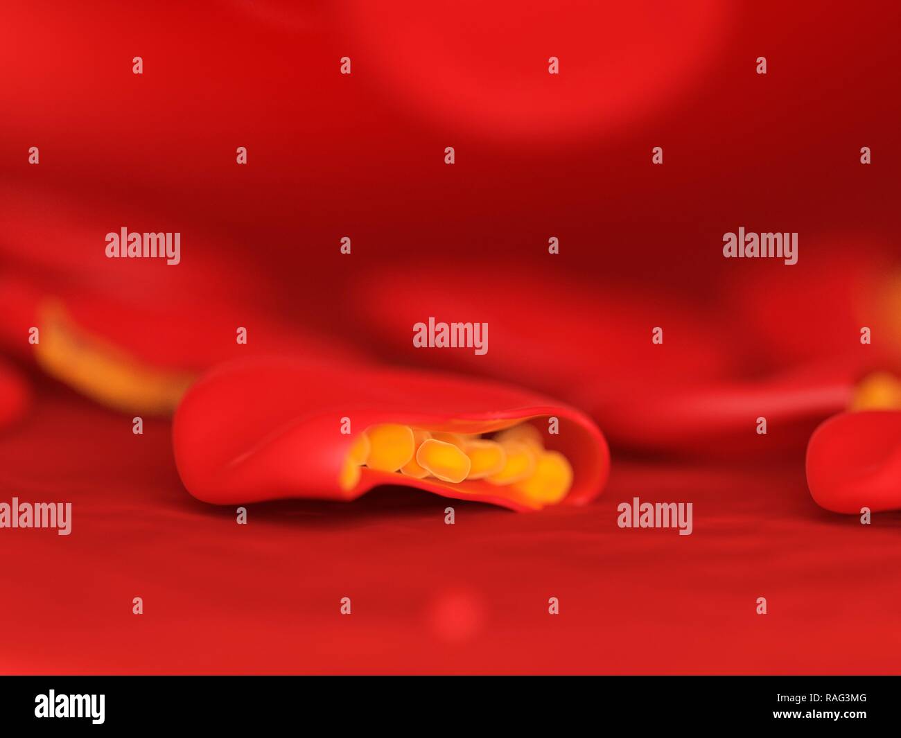 Illustration of malaria infected blood cells Stock Photo - Alamy