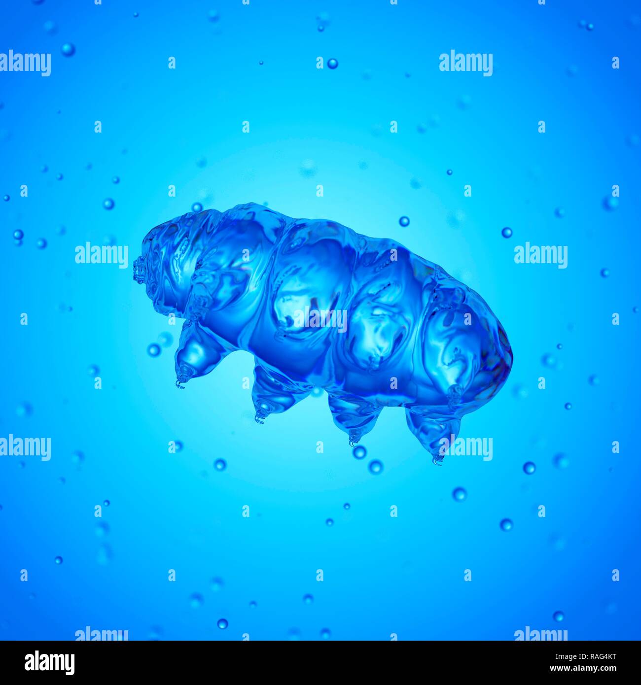 Illustration of a water bear Stock Photo - Alamy