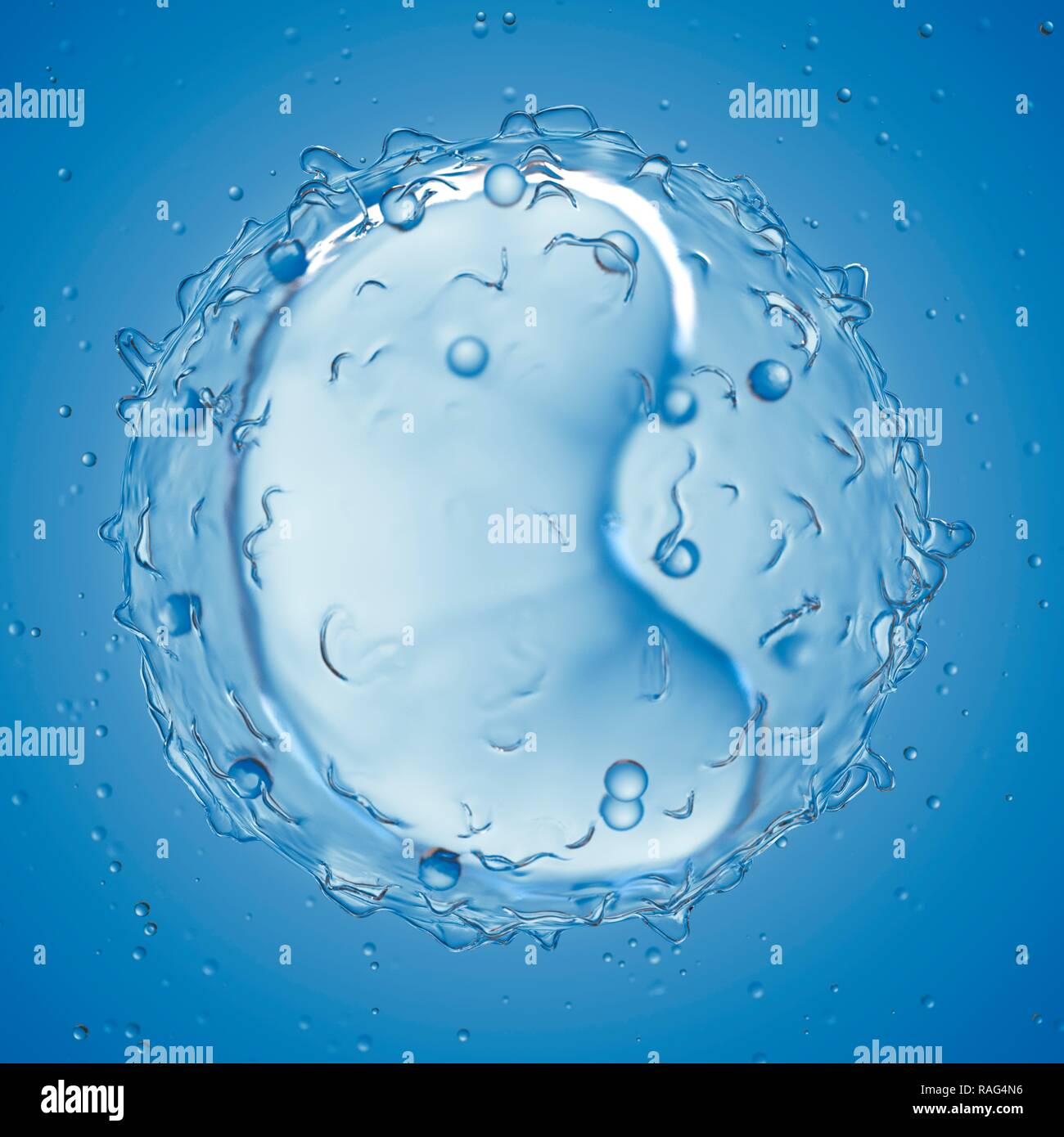 Monocyte Cell Stock Photos & Monocyte Cell Stock Images - Alamy