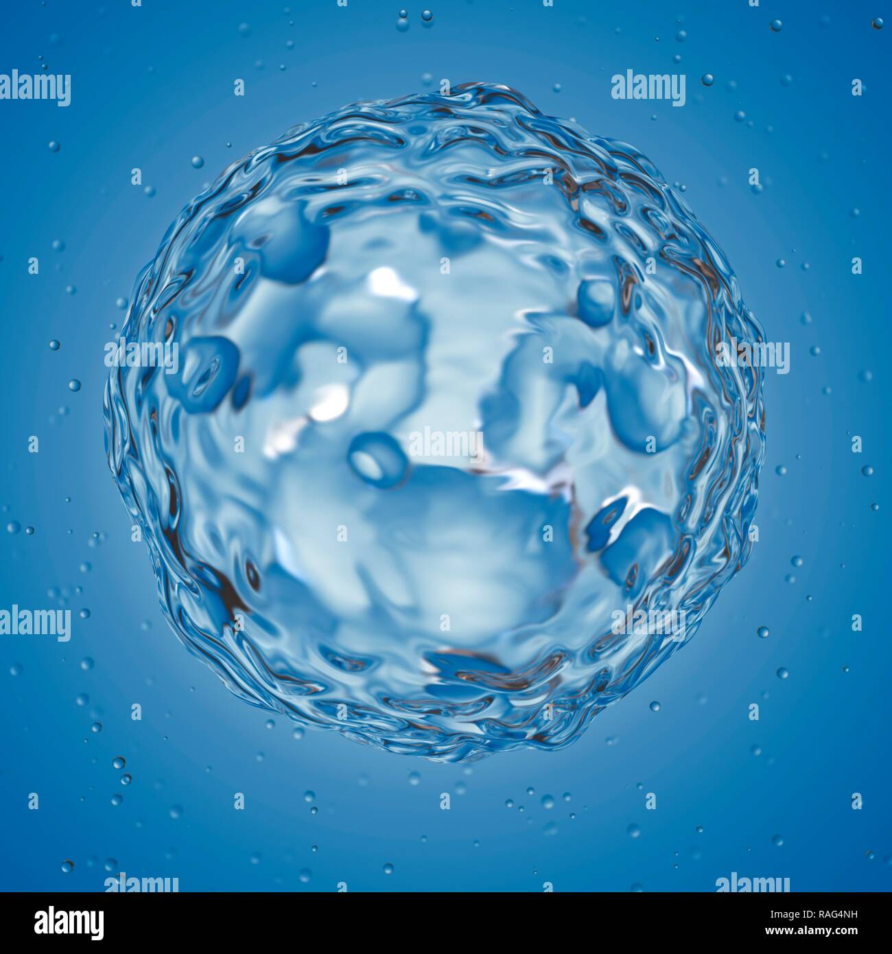 Basophil High Resolution Stock Photography and Images - Alamy