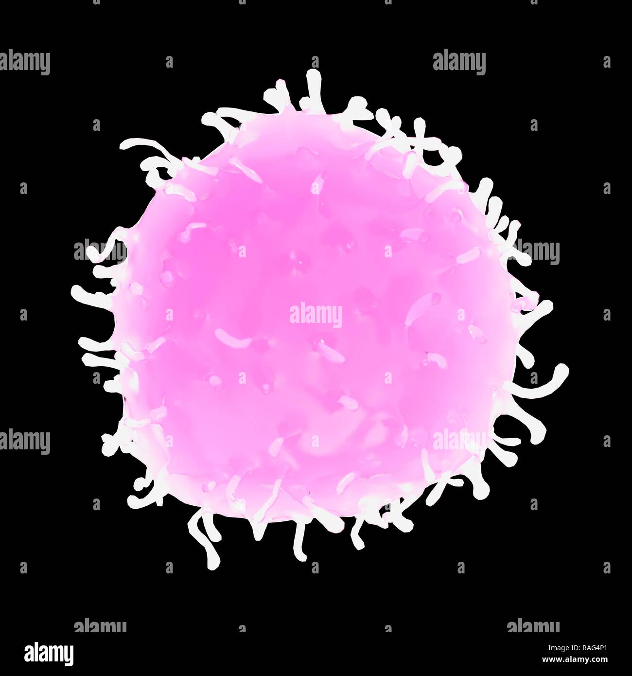 Illustration of a stem cell Stock Photo - Alamy