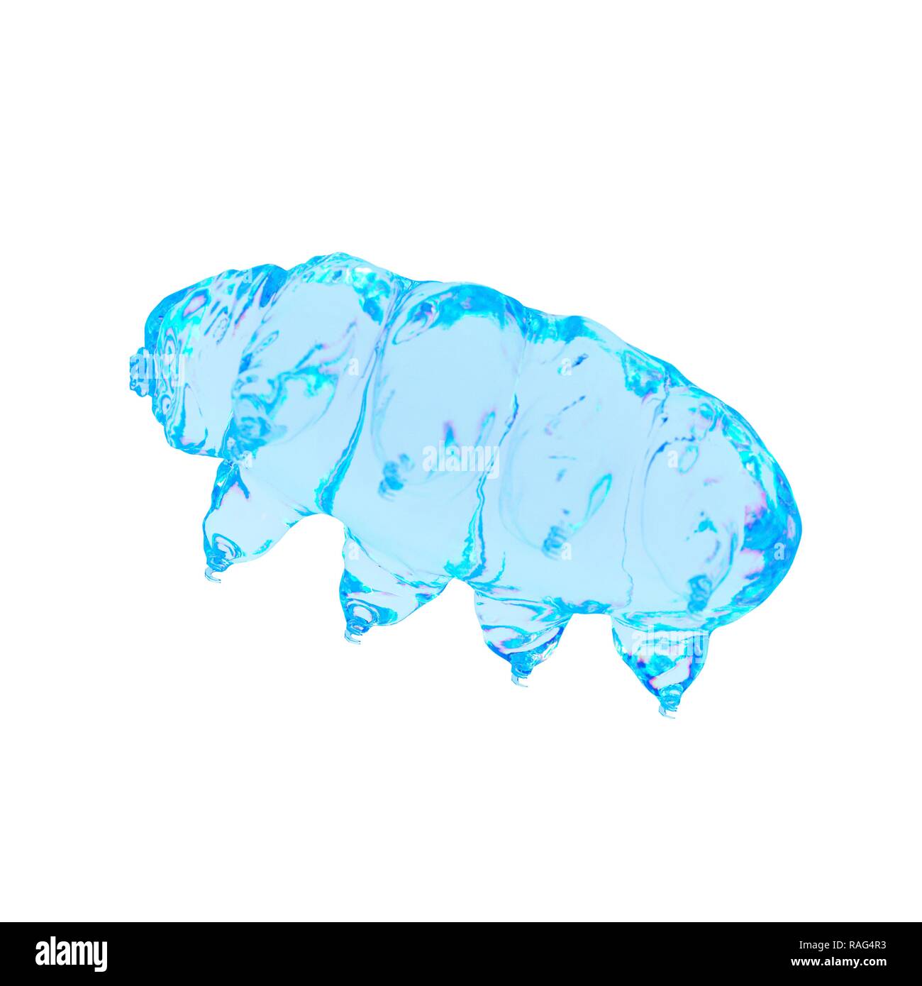 Water bear tardigrade illustration hi-res stock photography and images ...