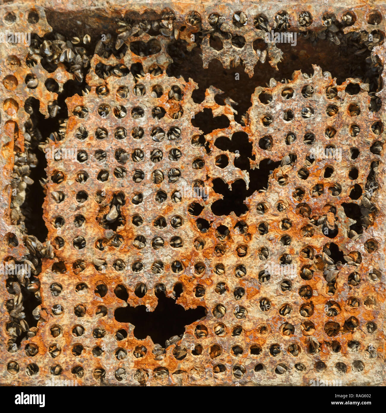 Broken rusty metal grid of the ballast system of a ship as a background ...