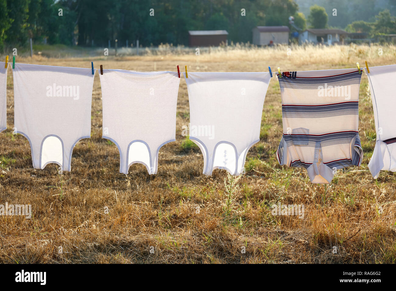 Drying clothes on a clothesline in the garden Stock Photo - Alamy