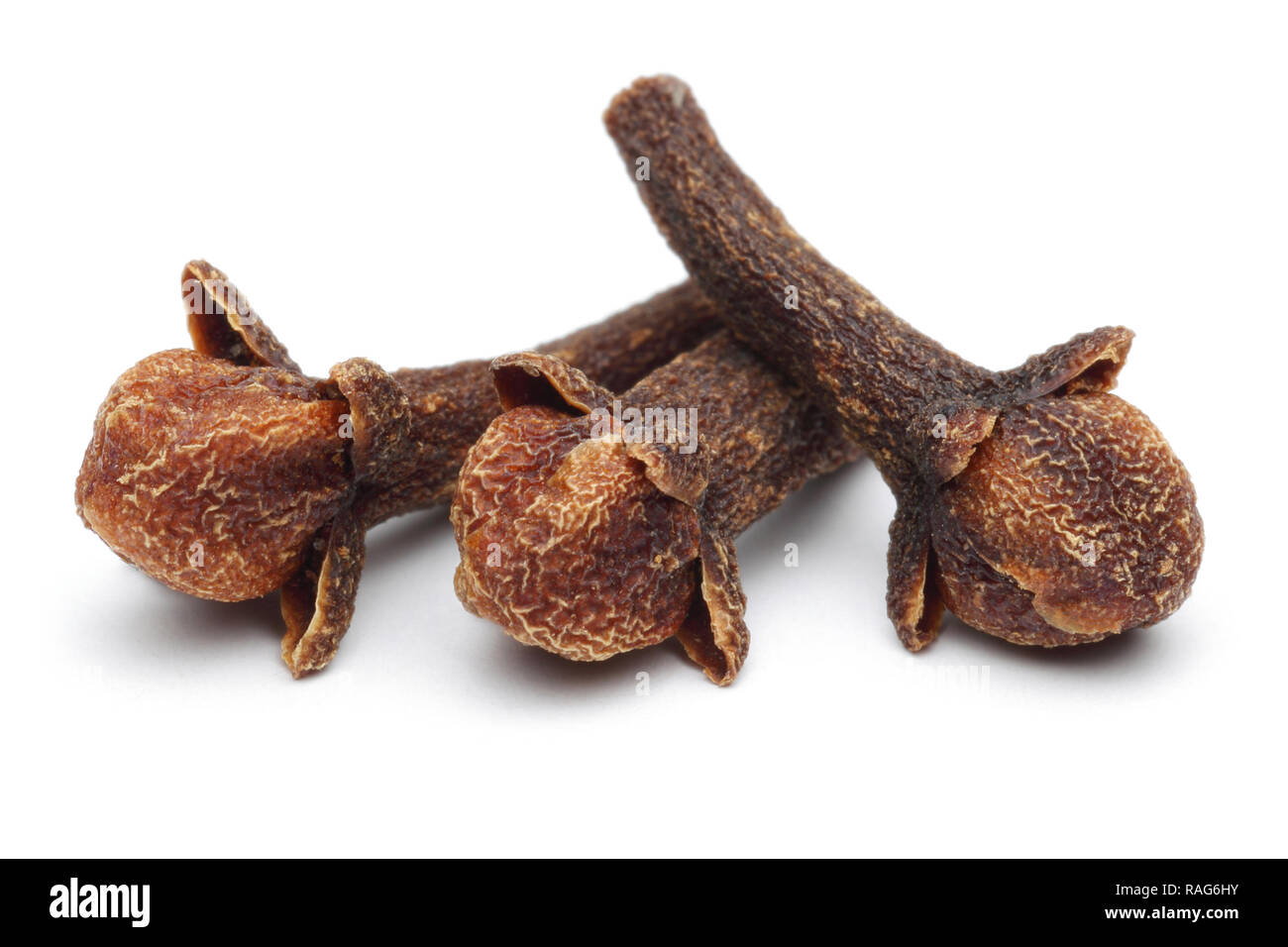 Three clove buds isolated on white background. Macro, studio shot Stock ...